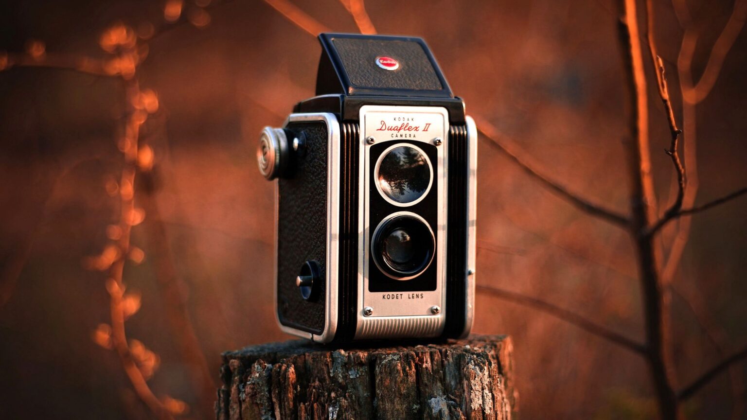 Pentax возвращается к пленочным фотоаппаратам | TeraNews.net